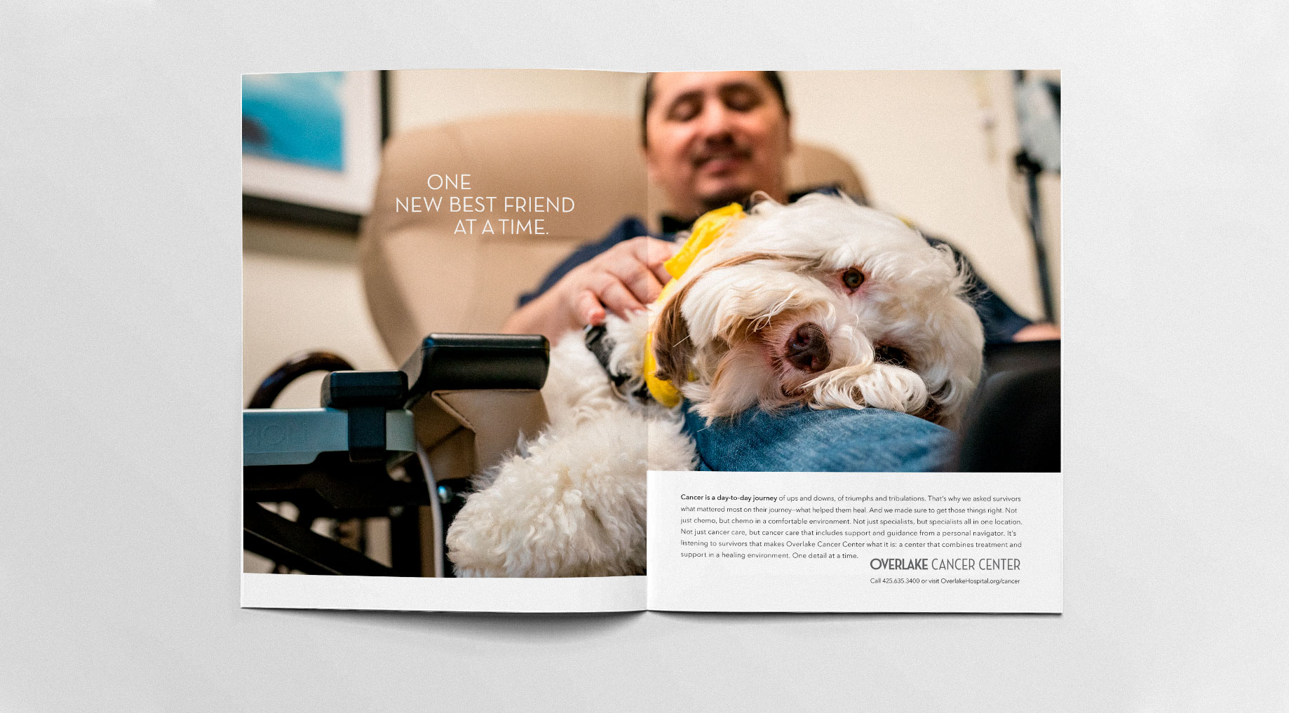 Overlake Cancer Center-Grand Opening Campaign – Hydrogen Advertising